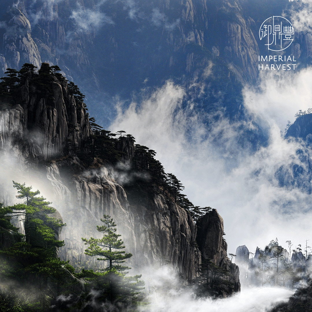 The Art of Mountain in Chinese Metaphysics - Imperial Harvest