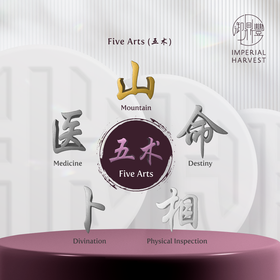 The Art of Mountain in Chinese Metaphysics - Imperial Harvest