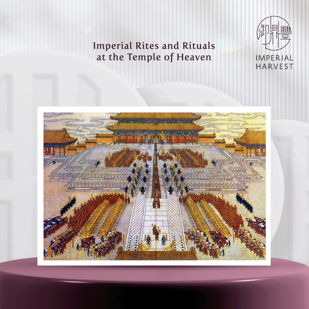 The Temple of Heaven - Imperial Rites and Rituals - Imperial Harvest