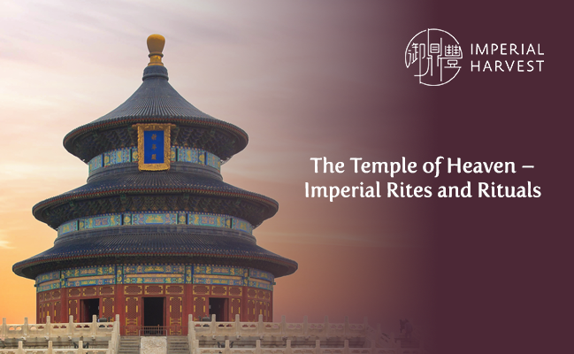 Blog Articles - Imperial Harvest