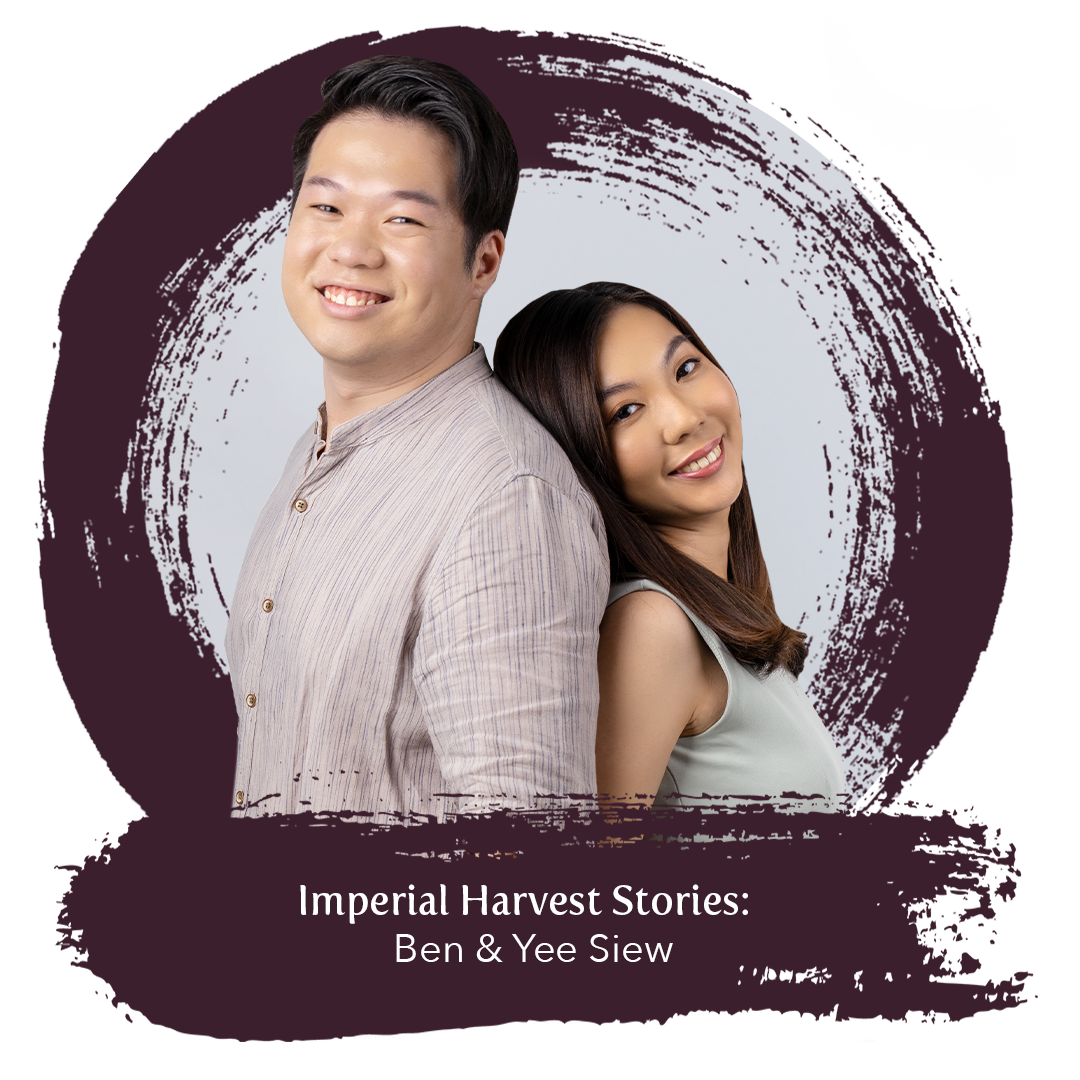 Imperial Harvest Stories - Ben and Yee Siew - Imperial Harvest