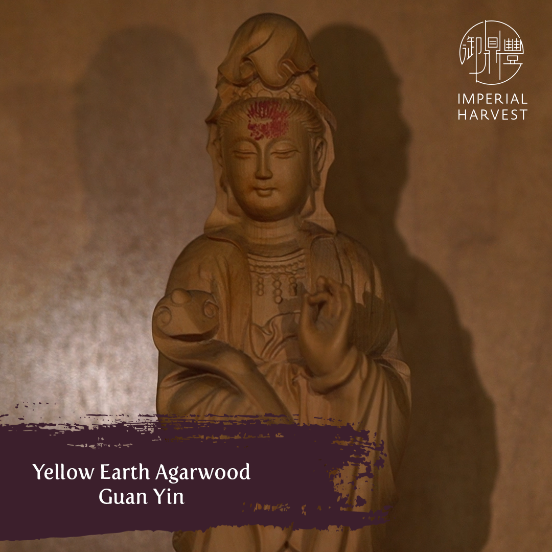 Imperial Harvest Stories - Ben and Yee Siew - Imperial Harvest