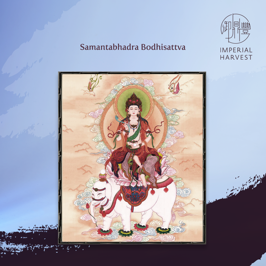 Eight Zodiac Guardians - Samantabhadra Bodhisattva - Imperial Harvest
