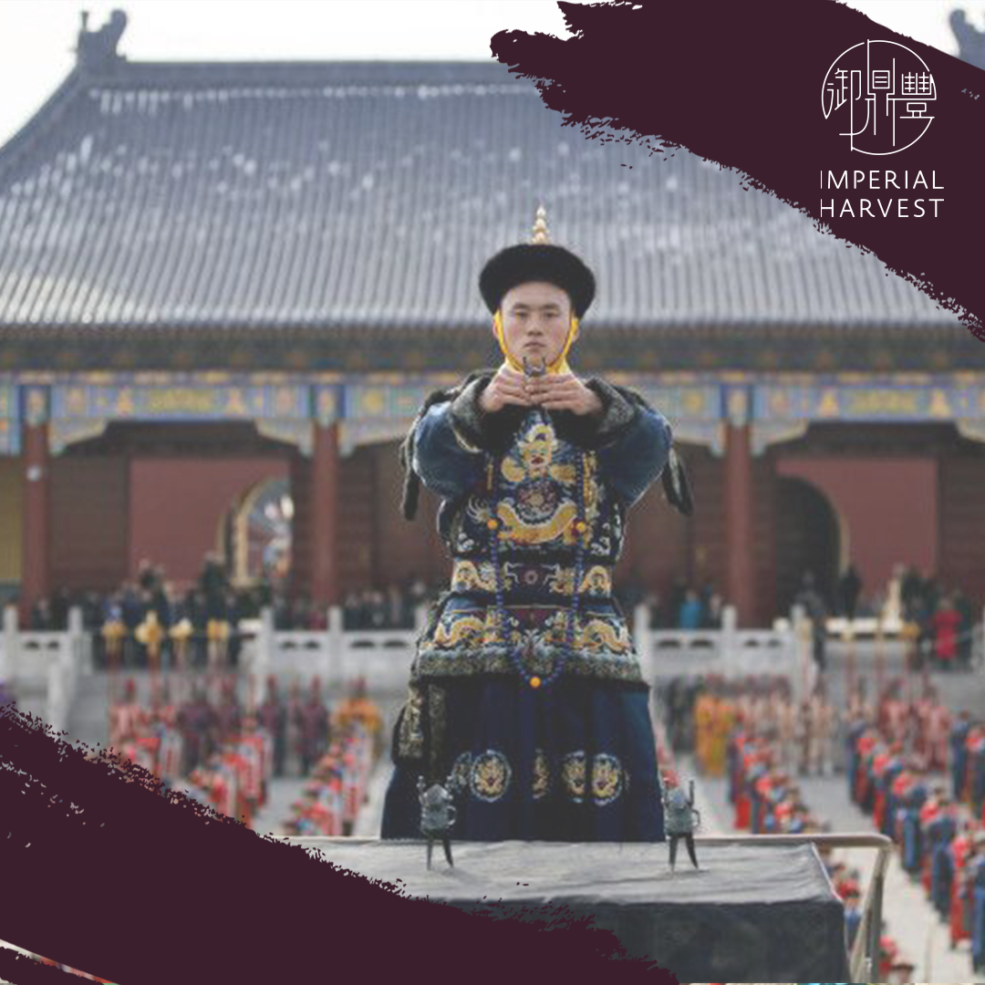 The Temple of Heaven - Imperial Rites and Rituals - Imperial Harvest
