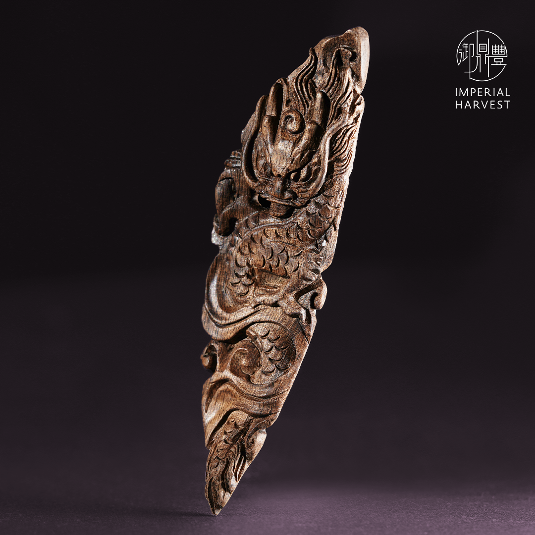 The Complete Guide to Imperial Harvest Purple Qinan Agarwood - Imperial ...