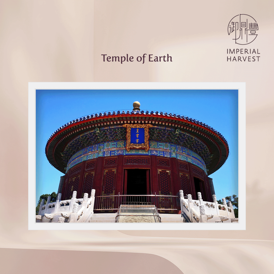 Embracing the spirit of the Summer Solstice - Imperial Harvest