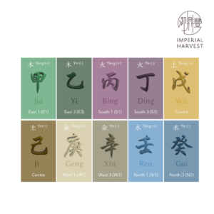 A Comprehensive Guide to the History of Bazi (八字) - Imperial Harvest