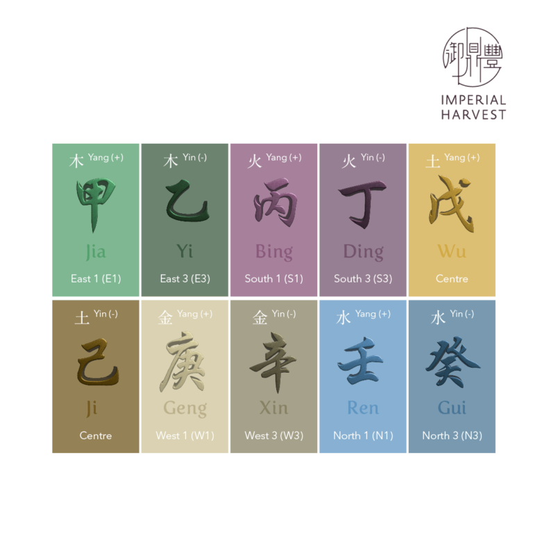 A Comprehensive Guide to the History of Bazi (八字) - Imperial Harvest