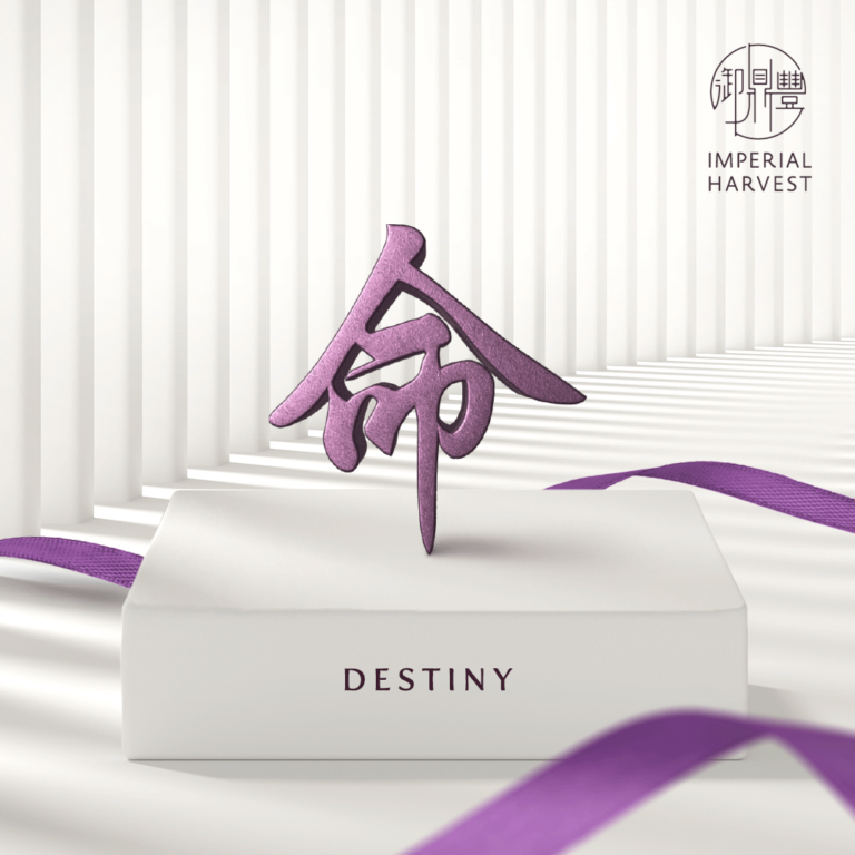 Understanding the Five Arts (五术) of Chinese Metaphysics - Imperial Harvest