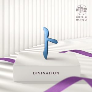 Understanding the Five Arts (五术) of Chinese Metaphysics - Imperial Harvest