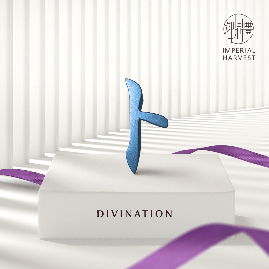 Understanding the Five Arts (五术) of Chinese Metaphysics - Imperial Harvest