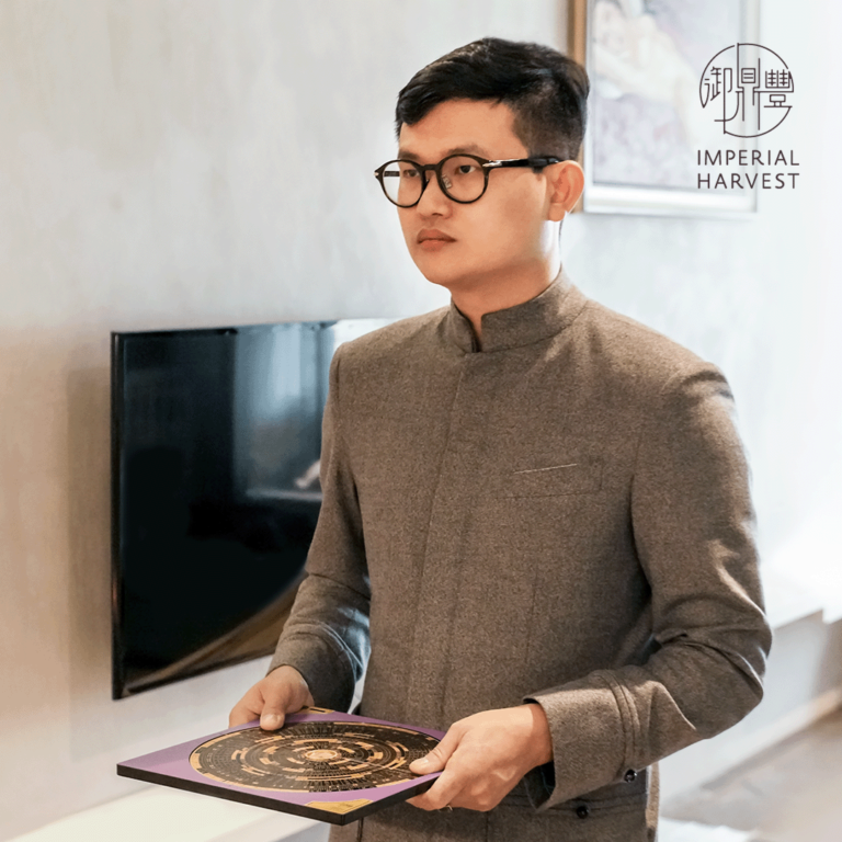 Understanding the Five Arts (五术) of Chinese Metaphysics - Imperial Harvest