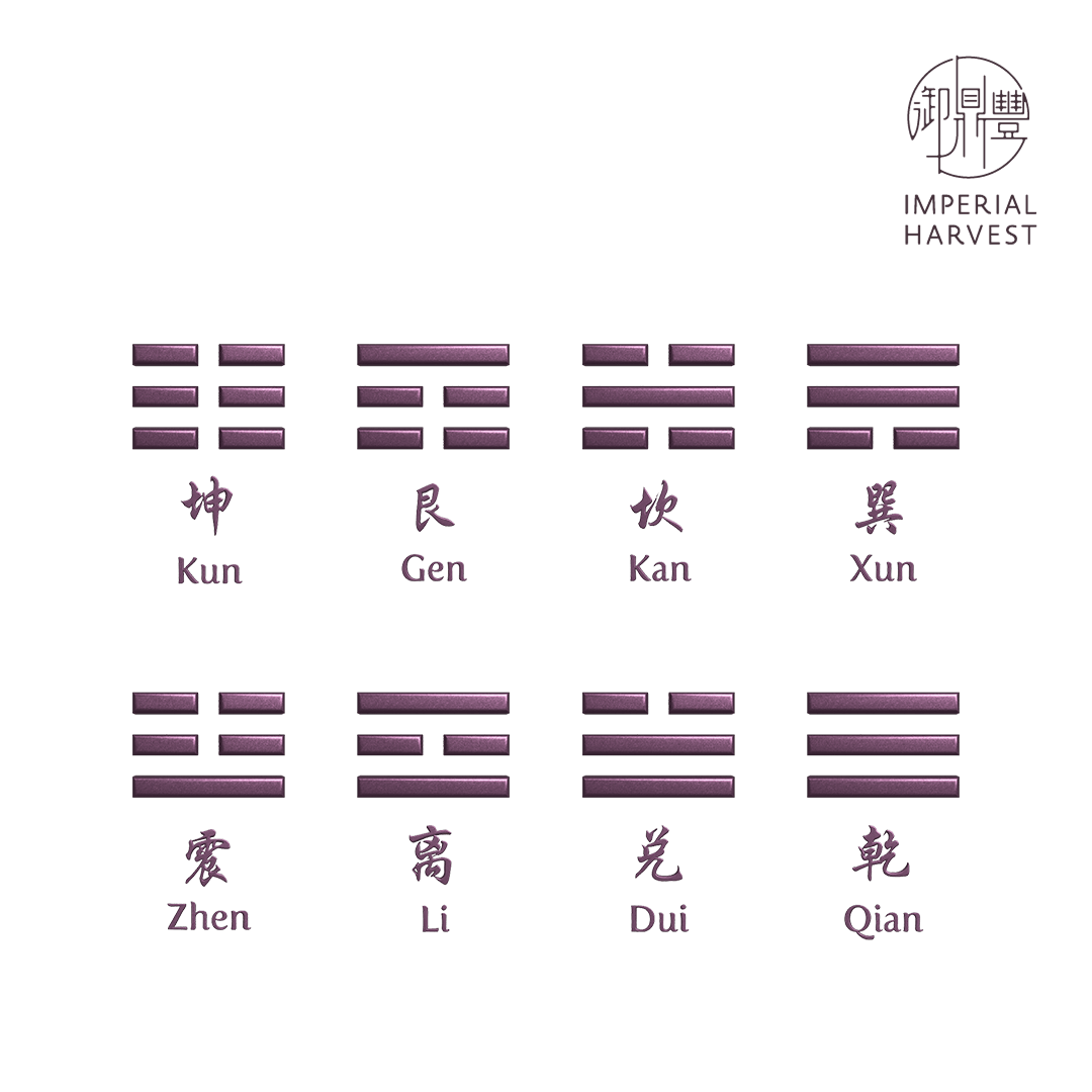 Fundamentals of Xuan Kong Da Gua Date Selection (玄空大卦) - Imperial Harvest