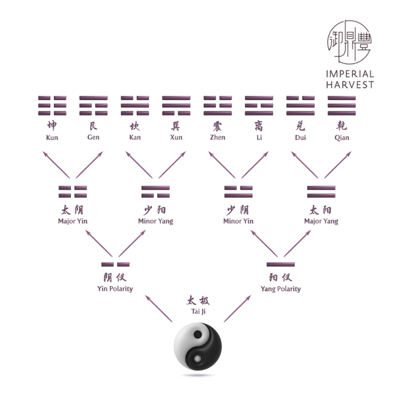 Fundamentals of Xuan Kong Da Gua Date Selection (玄空大卦) - Imperial Harvest