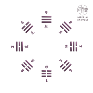 Fundamentals of Xuan Kong Da Gua Date Selection (玄空大卦) - Imperial Harvest