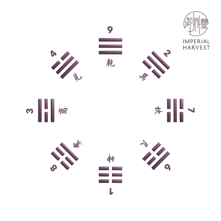 Fundamentals of Xuan Kong Da Gua Date Selection (玄空大卦) - Imperial Harvest