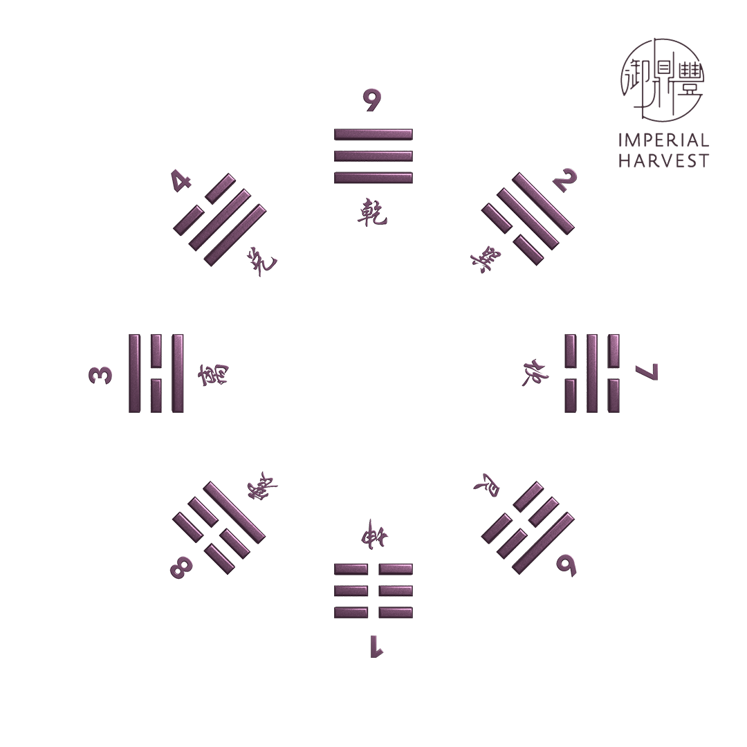Fundamentals of Xuan Kong Da Gua Date Selection (玄空大卦) - Imperial Harvest