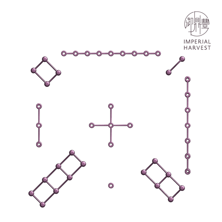 Fundamentals of Xuan Kong Da Gua Date Selection (玄空大卦) - Imperial Harvest
