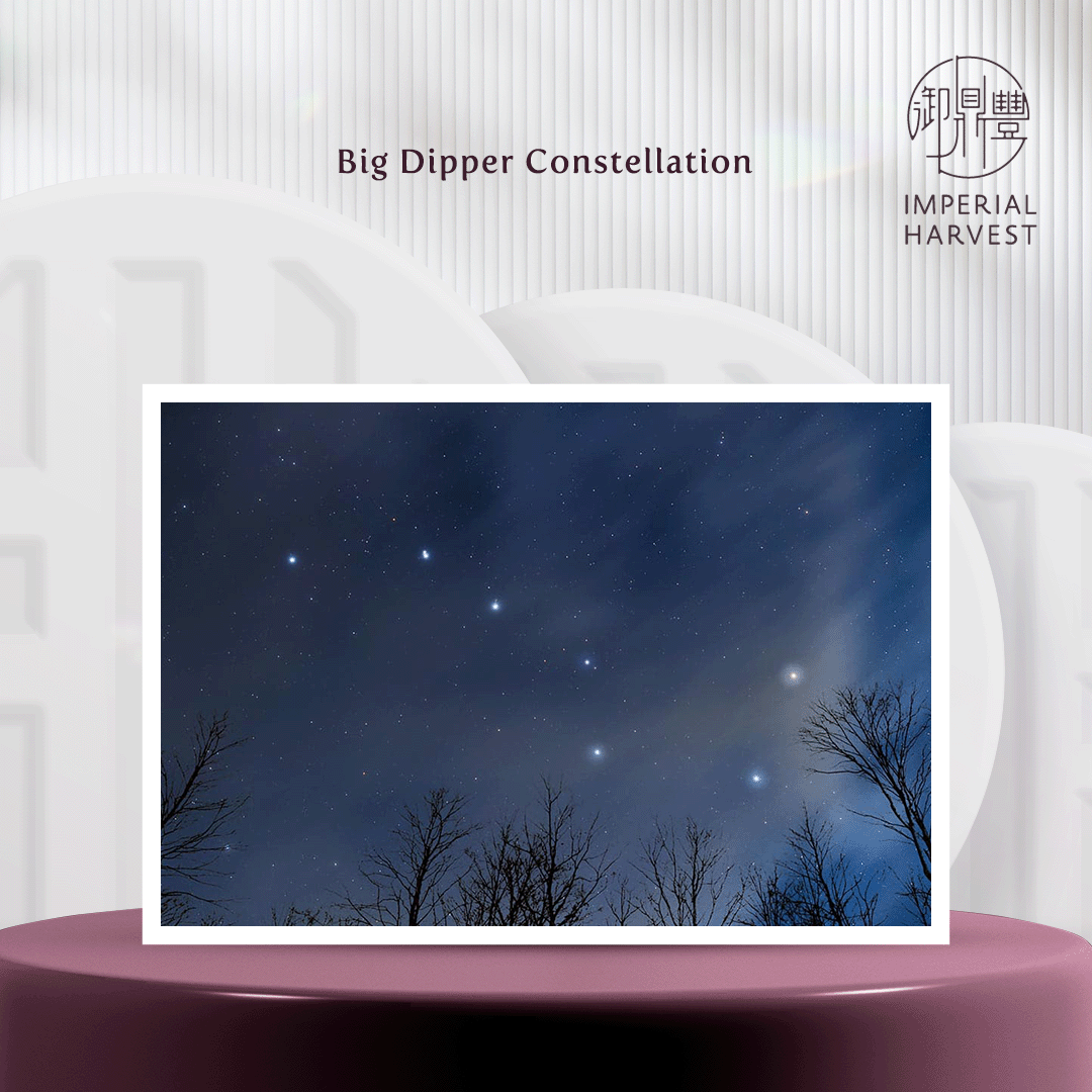 Stars of Qi Men Dun Jia (奇门遁甲) - Imperial Harvest