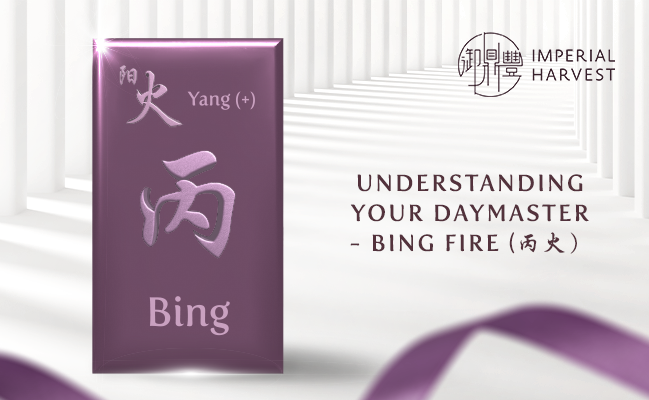 Understanding Your Daymaster — Ding Fire (丁火) - Imperial Harvest