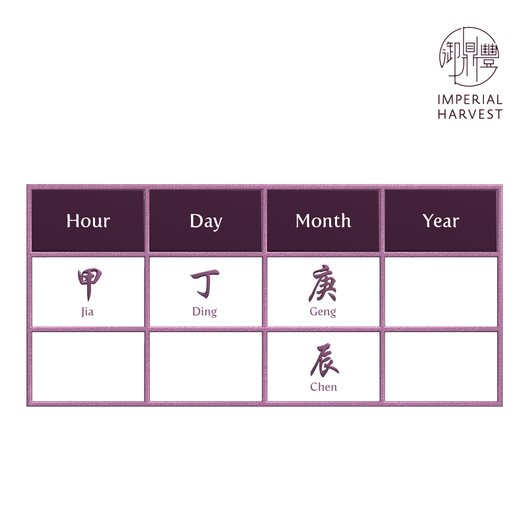 Understanding Your Daymaster — Ding Fire (丁火) - Imperial Harvest