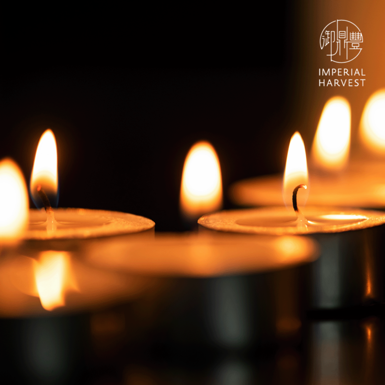 Understanding Your Daymaster — Ding Fire (丁火) - Imperial Harvest