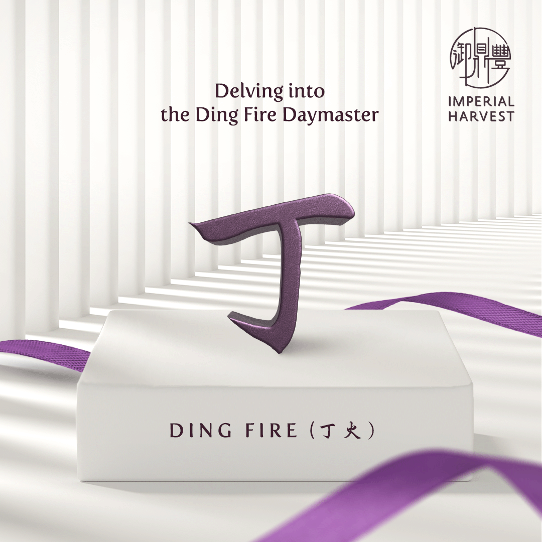 Understanding Your Daymaster — Ding Fire (丁火) - Imperial Harvest