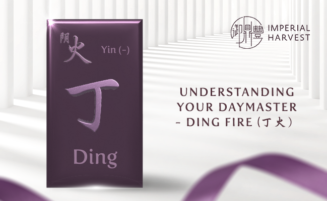 Understanding Your Daymaster — Ding Fire (丁火) - Imperial Harvest