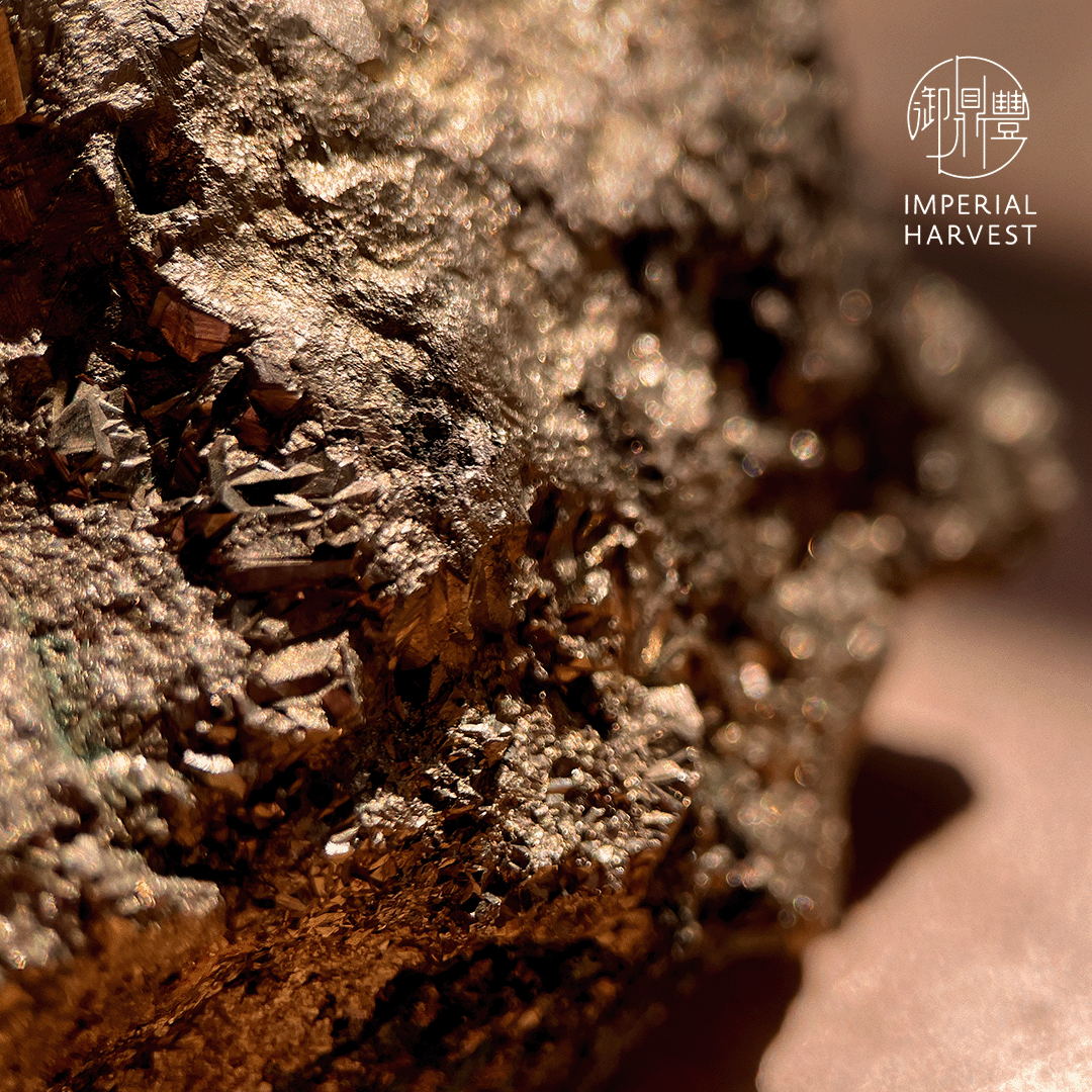 Understanding Your Daymaster — Geng Metal (庚金) - Imperial Harvest