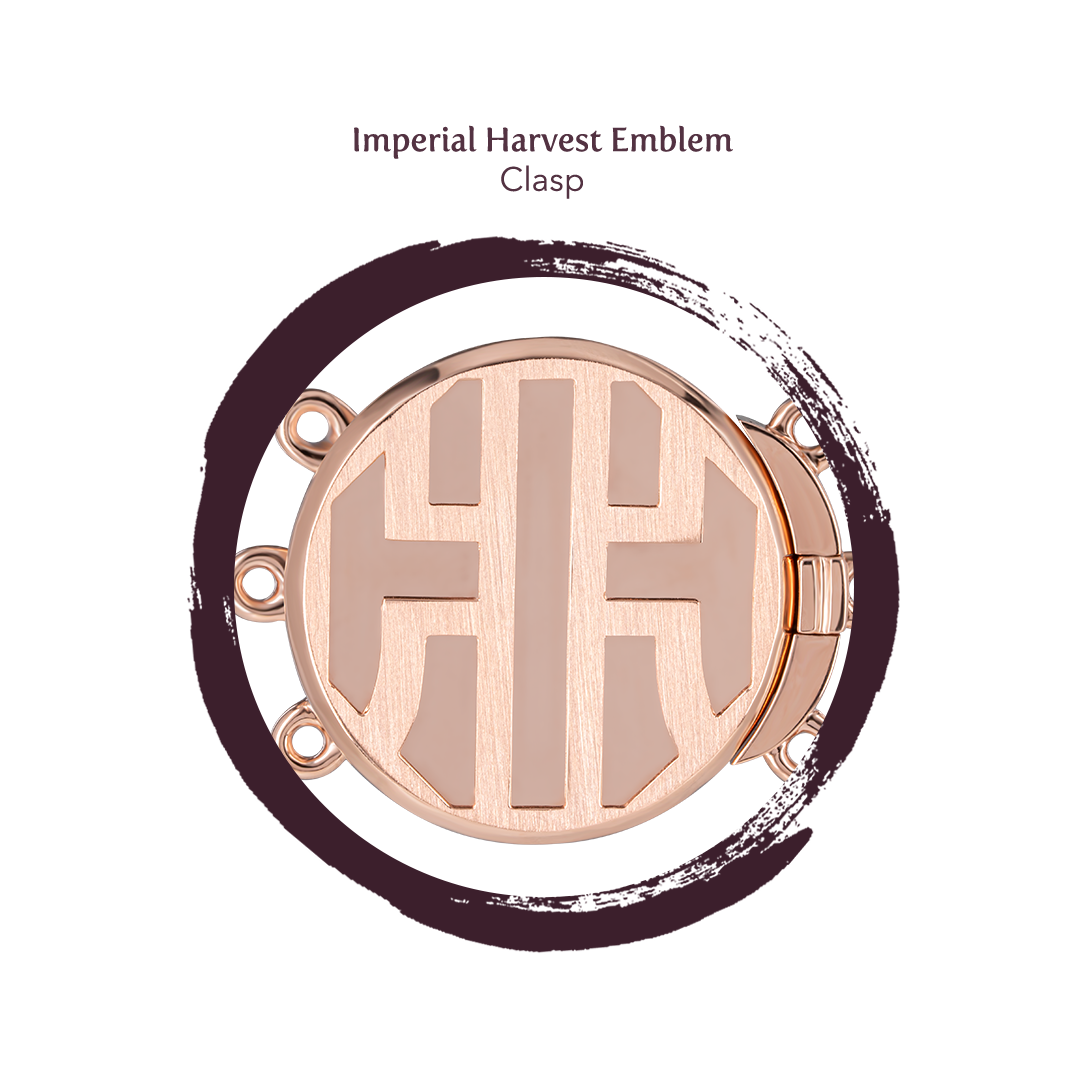 Chinese Metaphysics Basics: Understanding Taiji, Yin and Yang and the Four Phenomena - Imperial ...