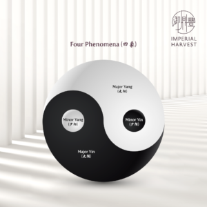 Chinese Metaphysics Basics: Understanding Taiji, Yin and Yang and the ...