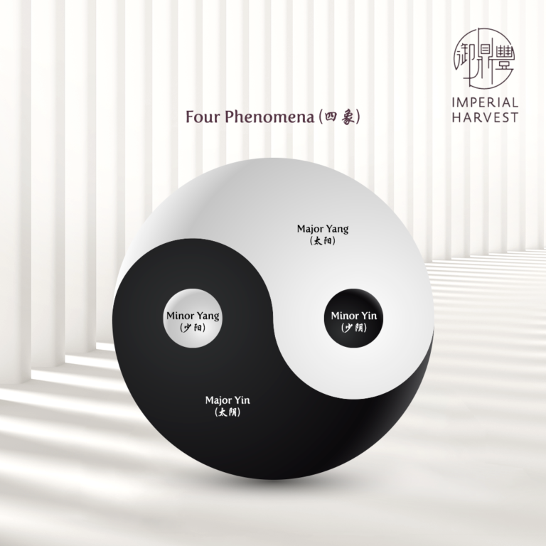 Chinese Metaphysics Basics: Understanding Taiji, Yin and Yang and the ...