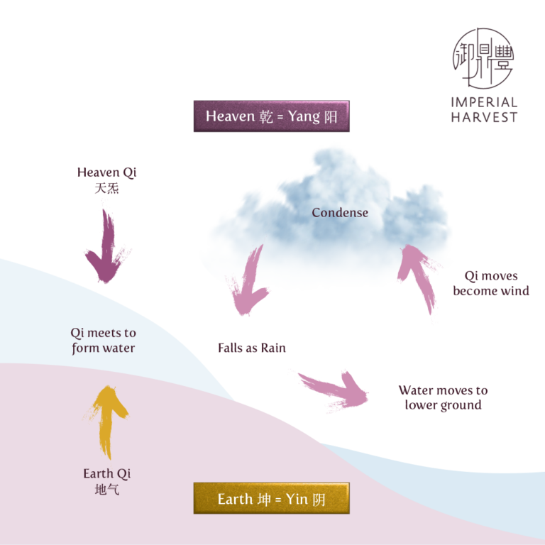 How to Select the Best Location for Your Business with Feng Shui ...