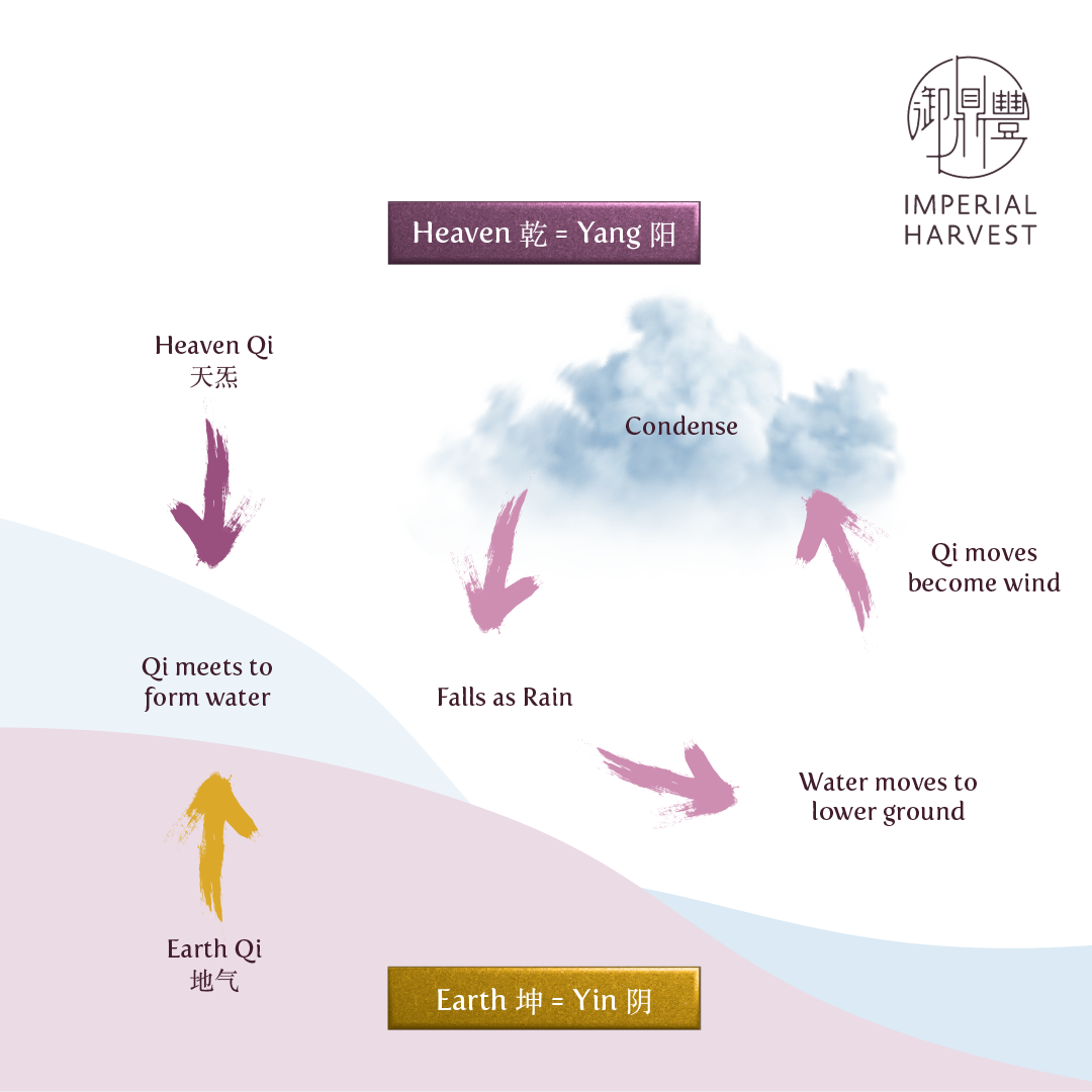 How to Select the Best Location for Your Business with Feng Shui ...