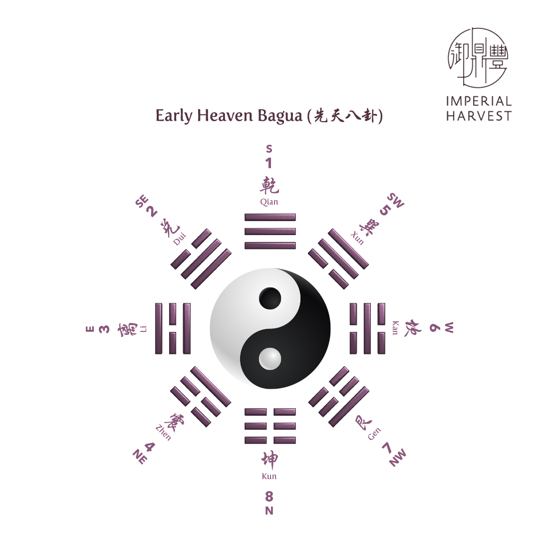 Understanding Bagua (八卦) - Imperial Harvest