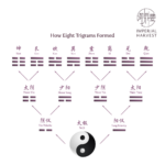 Understanding Bagua (八卦) - Imperial Harvest
