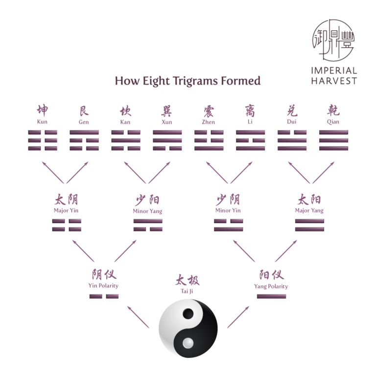 Understanding Bagua (八卦) - Imperial Harvest