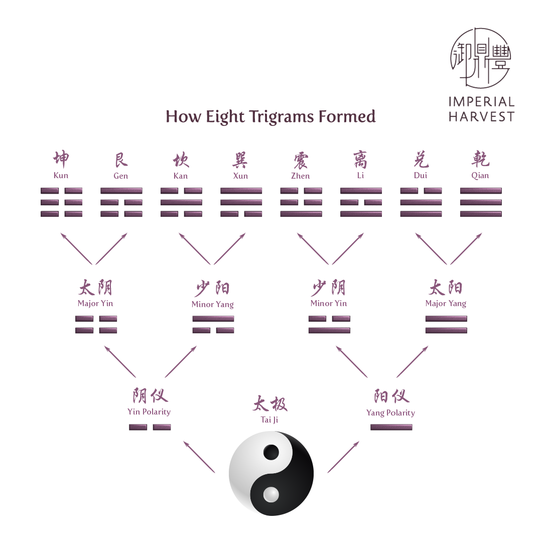 Understanding Bagua (八卦) - Imperial Harvest