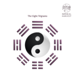 Understanding Bagua (八卦) - Imperial Harvest