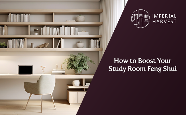 How to Boost Your Study Room Feng Shui - Imperial Harvest