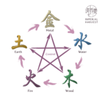 The Ten Gods (十神) in Chinese Metaphysics - Imperial Harvest