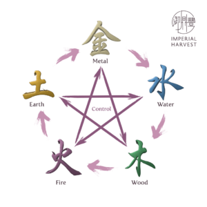 The Ten Gods (十神) in Chinese Metaphysics - Imperial Harvest