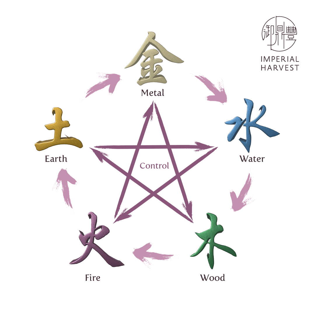 The Ten Gods (十神) in Chinese Metaphysics - Imperial Harvest