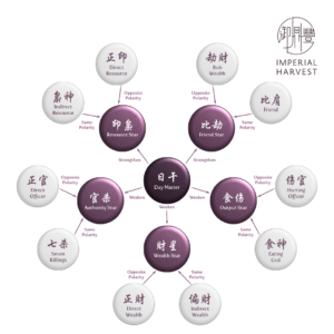 The Ten Gods (十神) in Chinese Metaphysics - Imperial Harvest