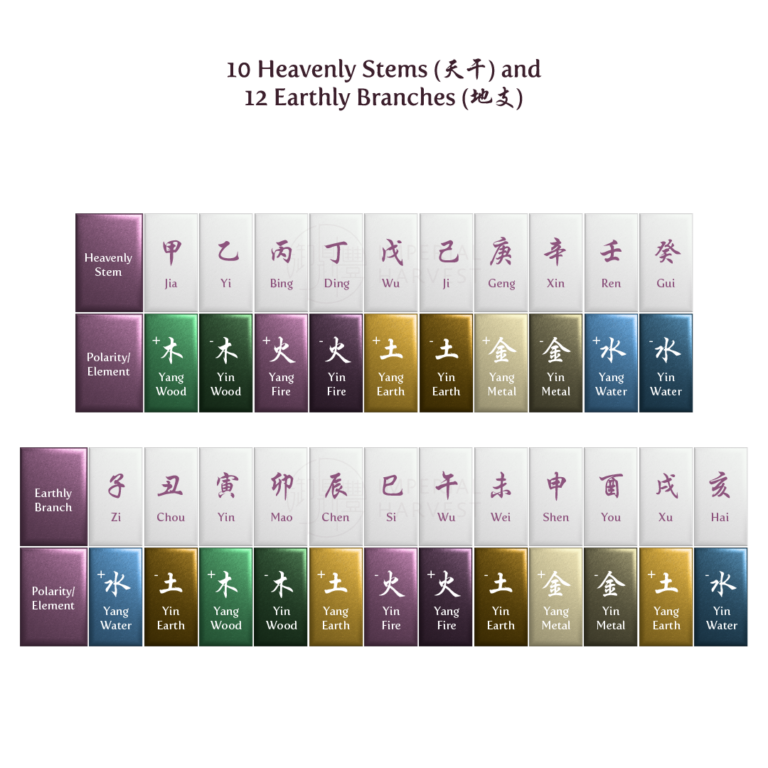 Beginner’s Guide to Bazi Reading - Imperial Harvest
