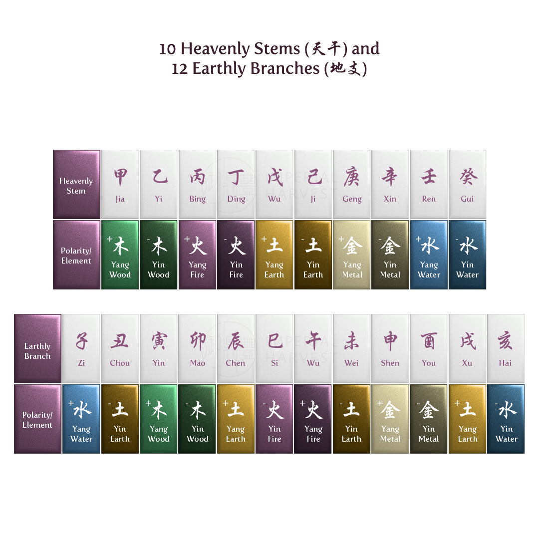 Beginner’s Guide to Bazi Reading - Imperial Harvest