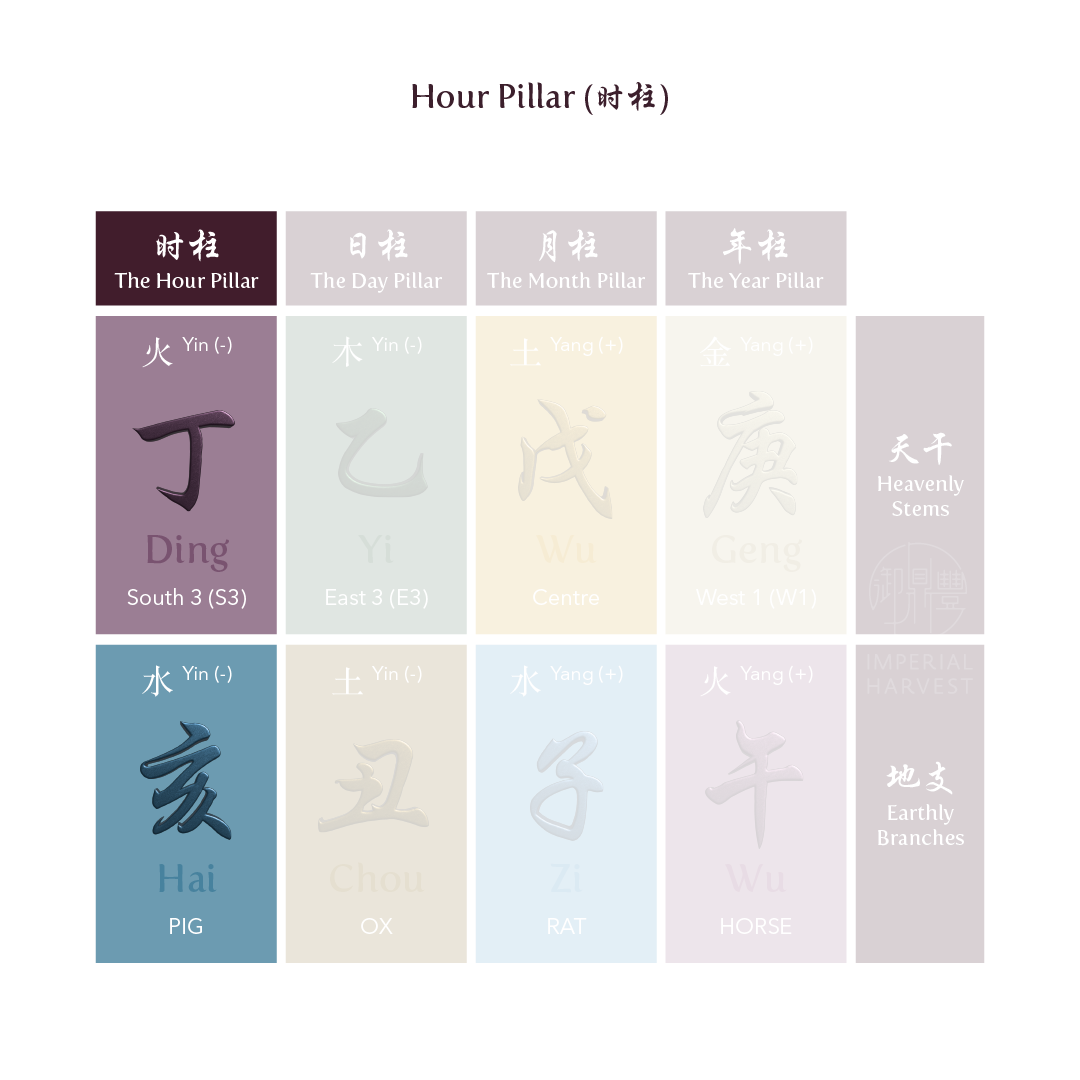 Beginner’s Guide to Bazi Reading - Imperial Harvest