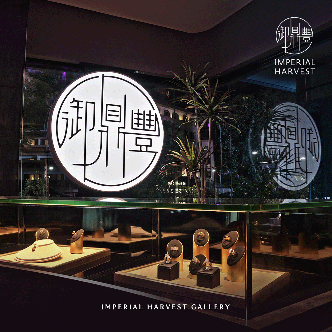 Beginner’s Guide to Bazi Reading - Imperial Harvest