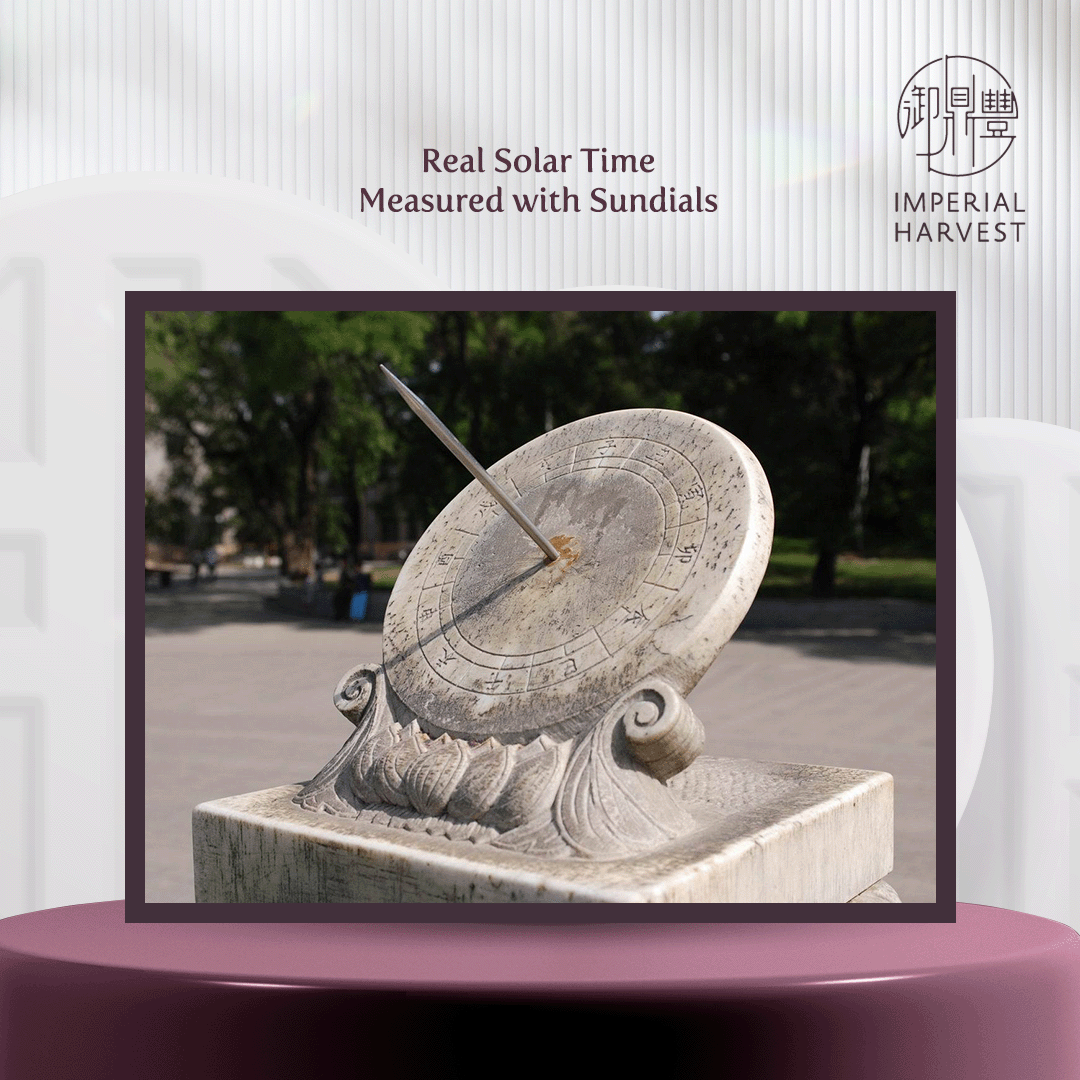 Beginner’s Guide to Bazi Reading - Imperial Harvest