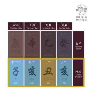 Introduction to the 12 Earthly Branches (十二地支) - Imperial Harvest